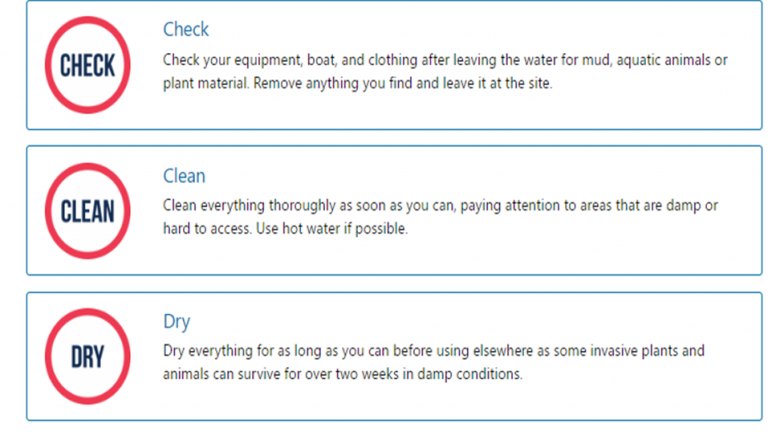 Hanningfield Reservoir Fishing | Waterside Parks