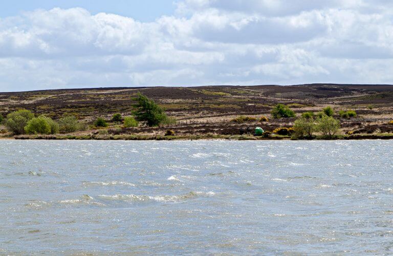 Things To Do In Scaling Dam | Waterside Parks