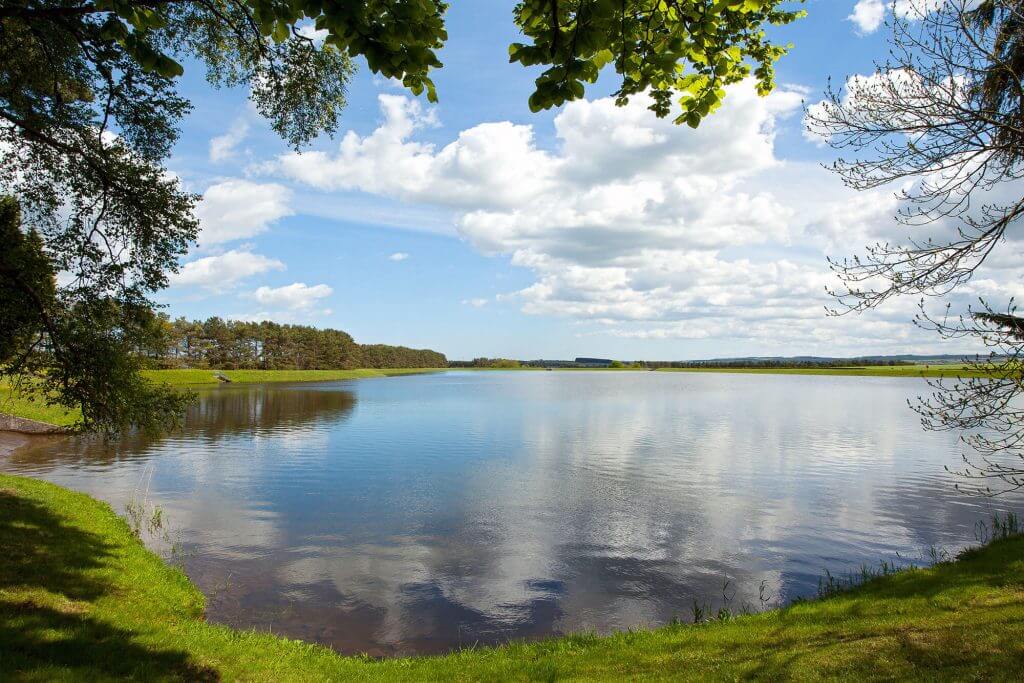 Scaling Dam Fishing | Waterside Parks