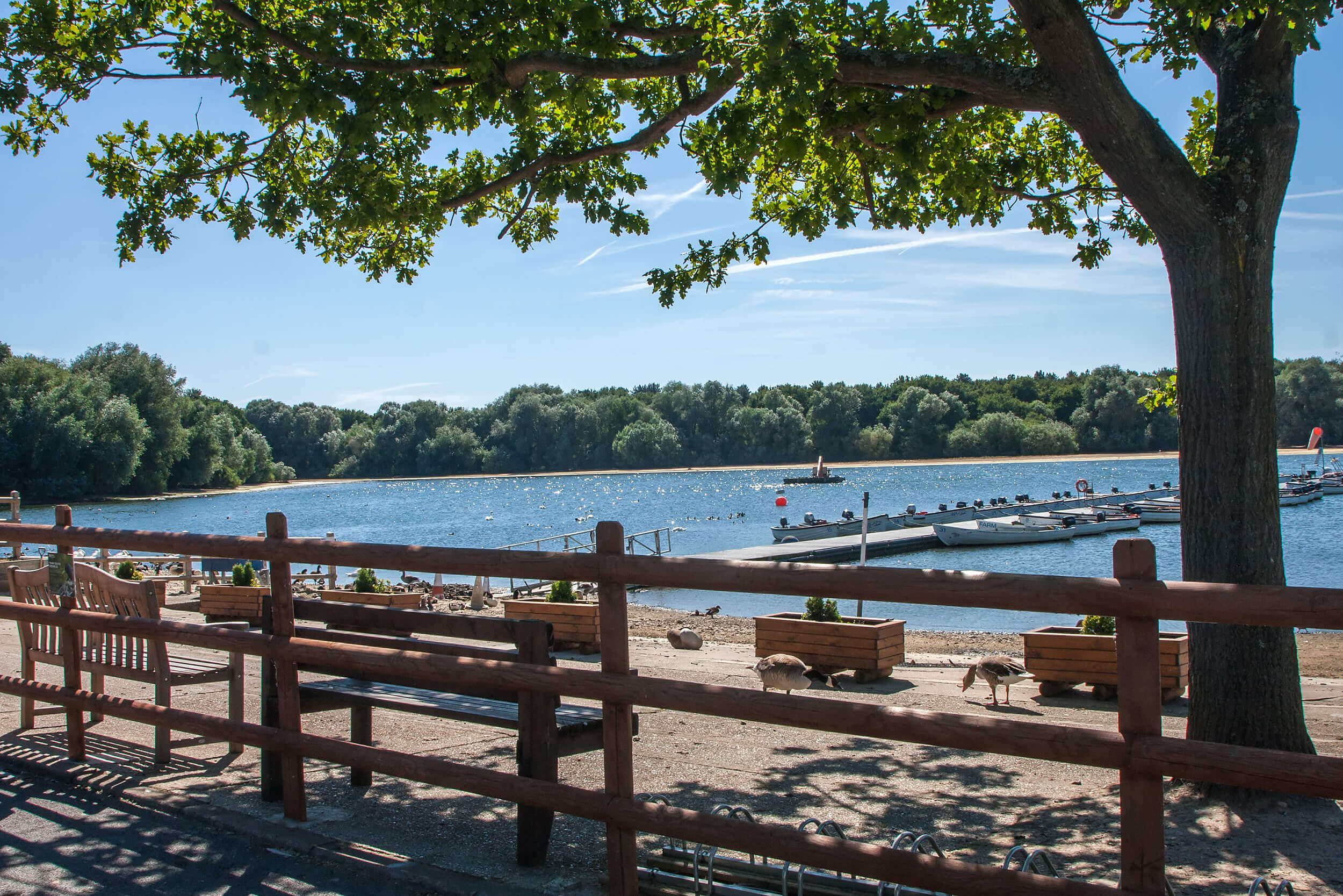 Hanningfield Reservoir | Waterside Parks