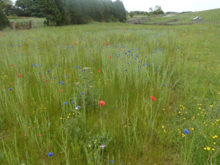 Scaling Dam Reservior | Waterside Parks