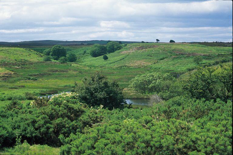 Scaling Dam Reservior | Waterside Parks